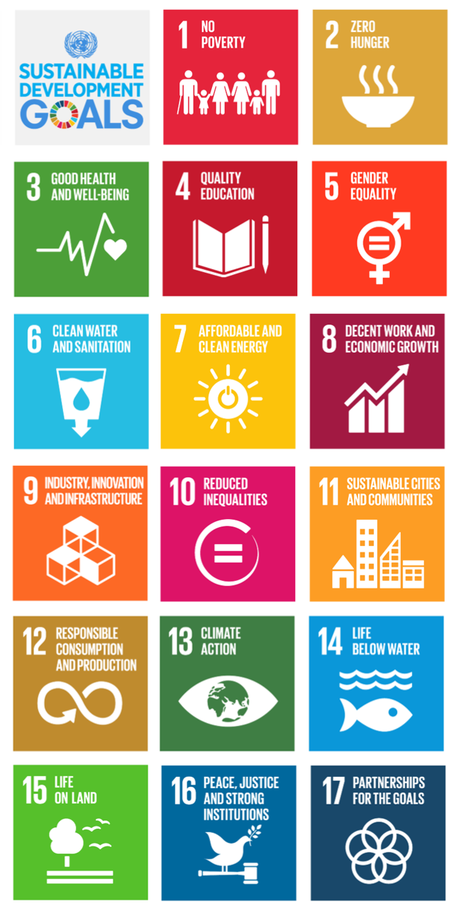 Digital Academies In Africa